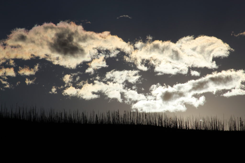 A Year Worth Reflecting On - Daniel M Kopp